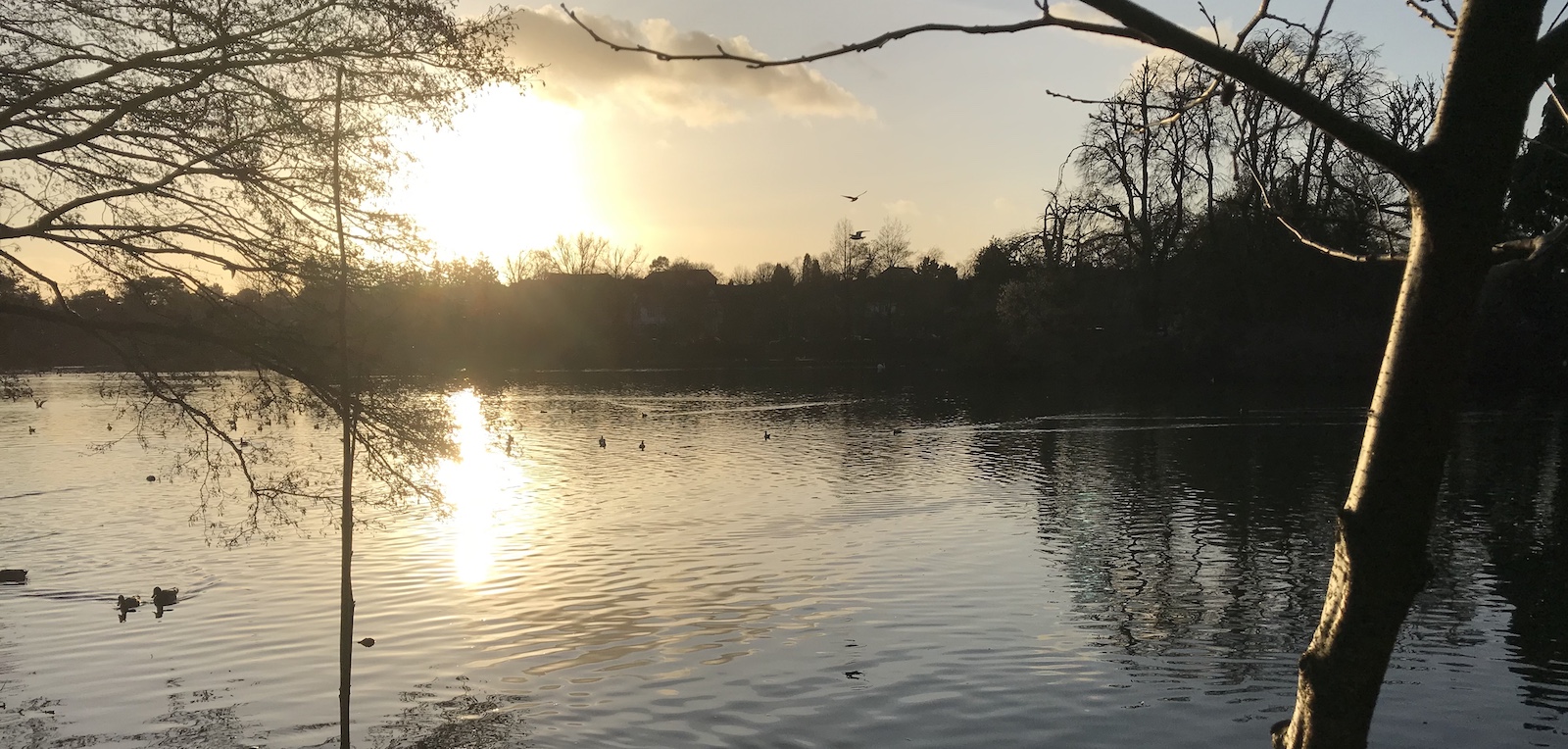 Counselling, Psychotherapy, Hypnotherapy in Cardiff - Jason Speake